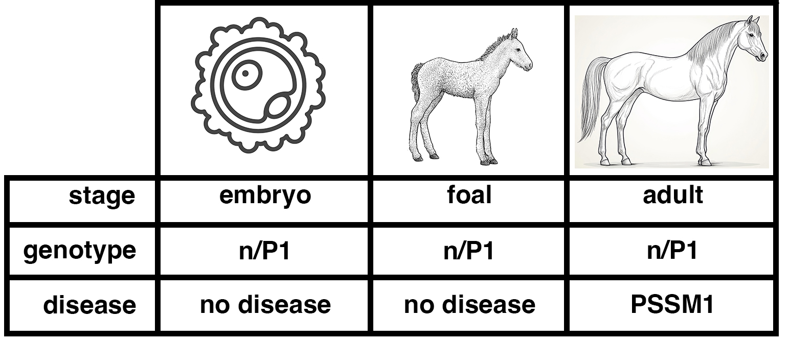 Genes First! – EquiSeq